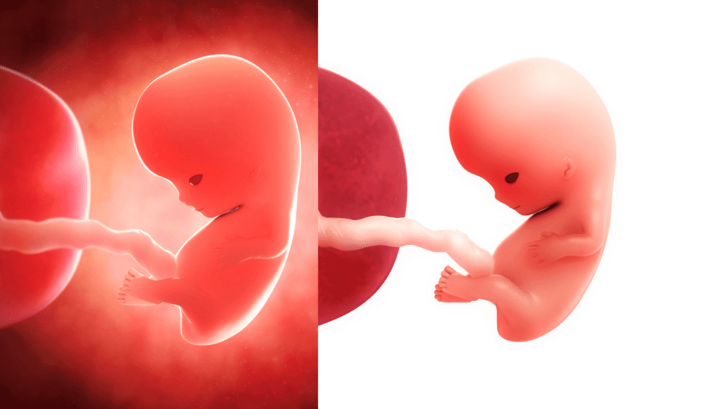 9 weeks pregnant – metallic taste in mouth. Why? Motherhood Diaries